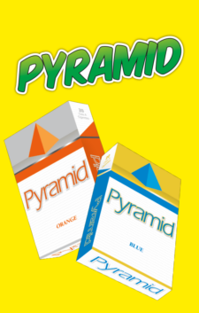 Products – Liggett Vector Brands